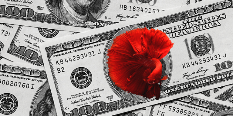 Save money with a pet fish instead of a dog - Frugalmatic